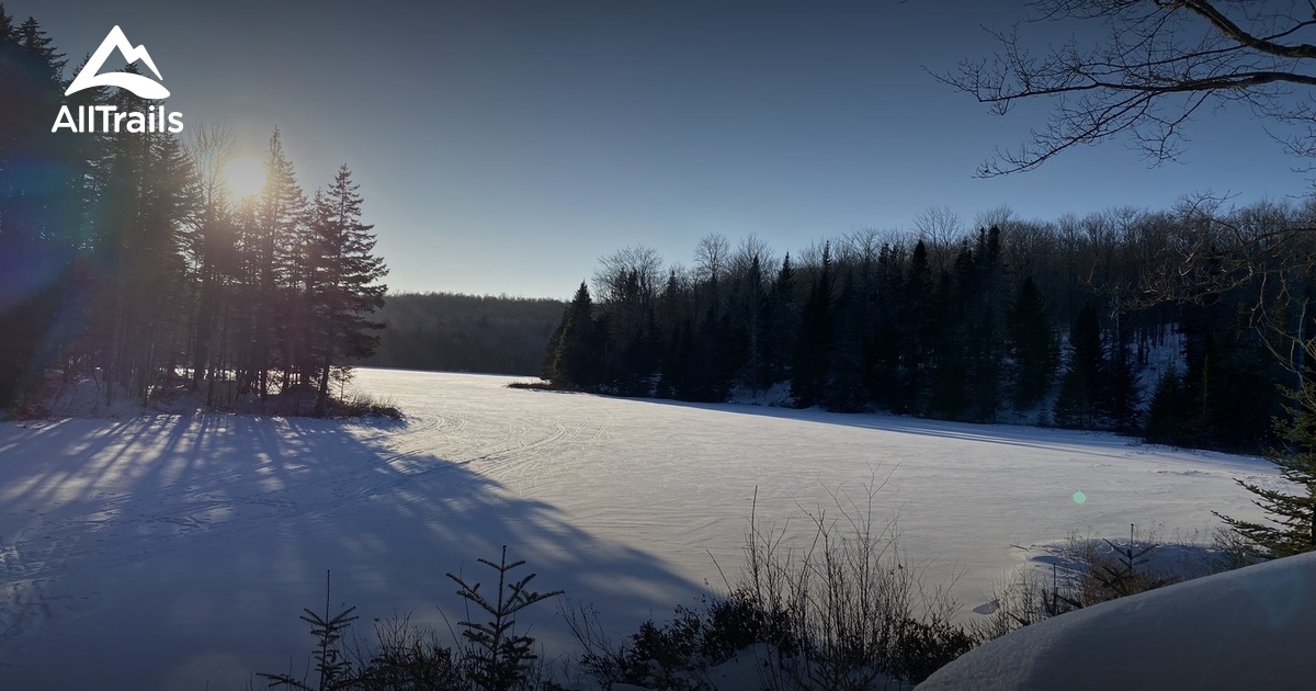 Los mejores senderos con lago en Dorchester | AllTrails