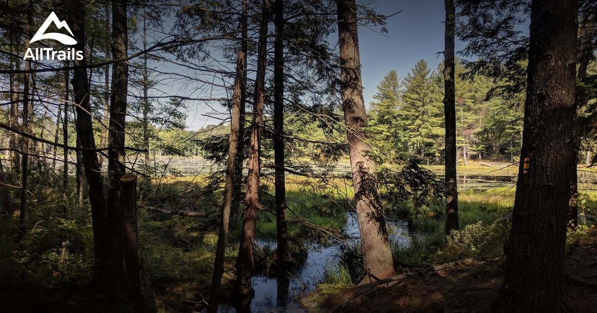 Best Trails near Dunbarton, New Hampshire | AllTrails