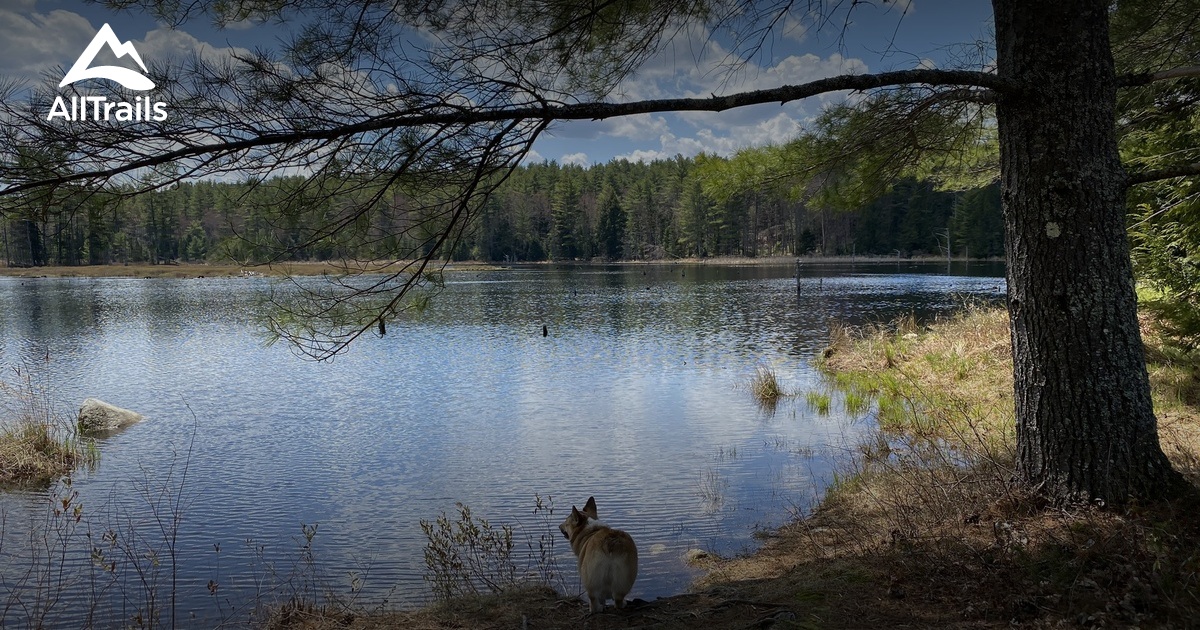 Best hikes and trails in Elkins | AllTrails