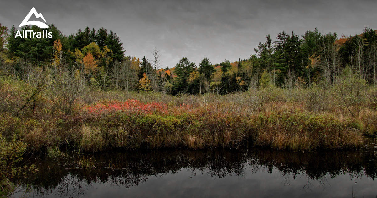 10 Best trails and hikes in Enfield | AllTrails