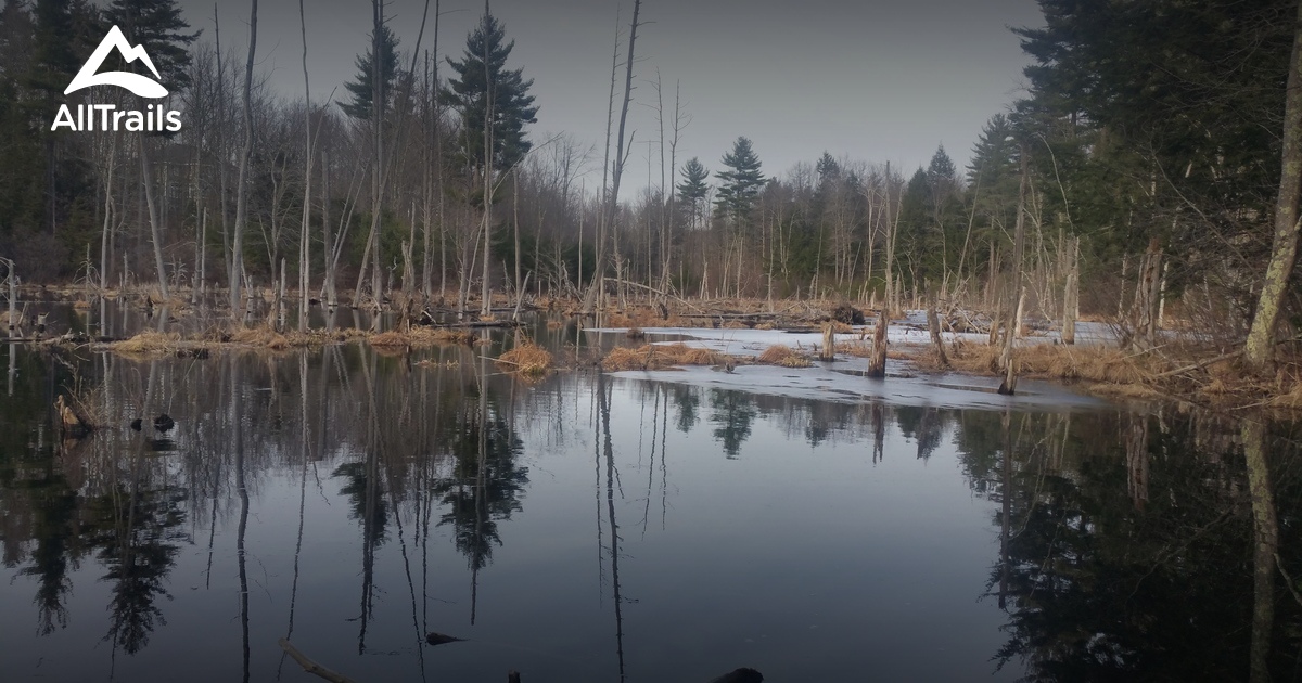 10 Best trails and hikes in Exeter | AllTrails