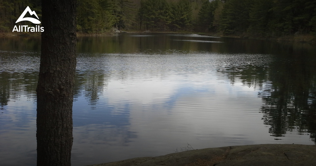 Best lake trails in Raymond | AllTrails