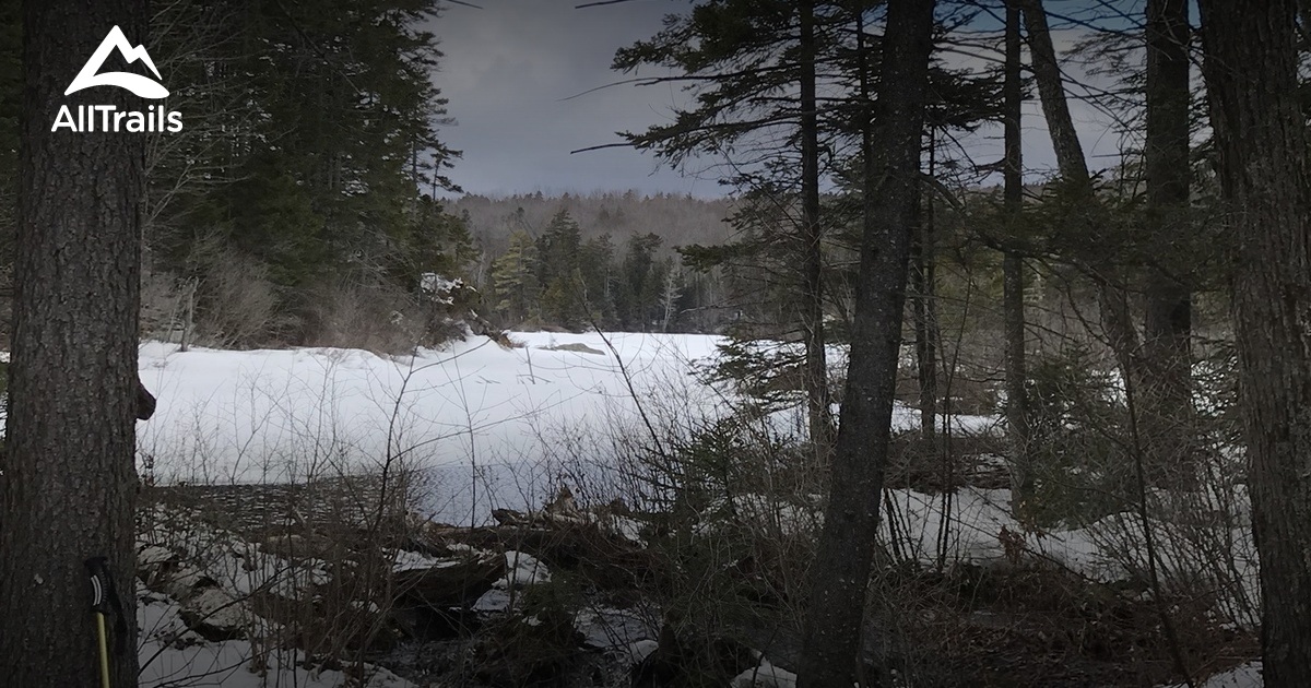 Los mejores senderos para caminar con raquetas de nieve en Springfield ...