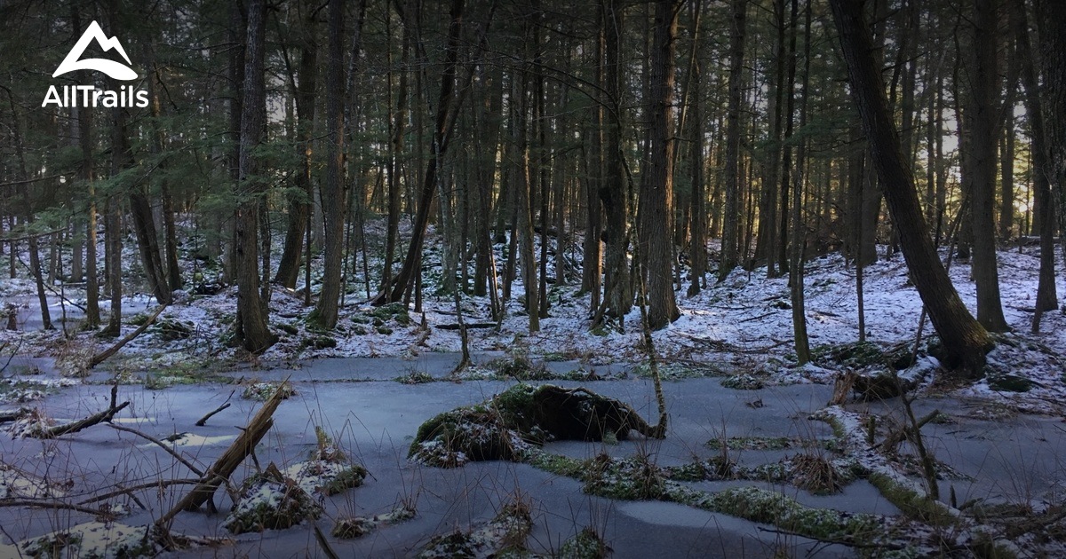 Best hikes and trails in Surry | AllTrails