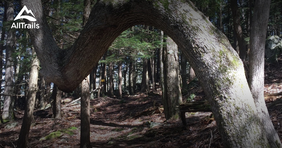 I migliori sentieri di trail running in Westmoreland | AllTrails