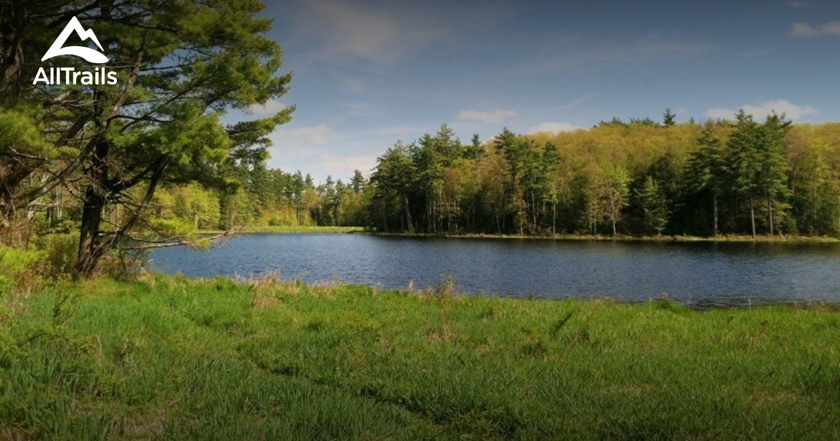 Best Trails near Wilton, New Hampshire | AllTrails