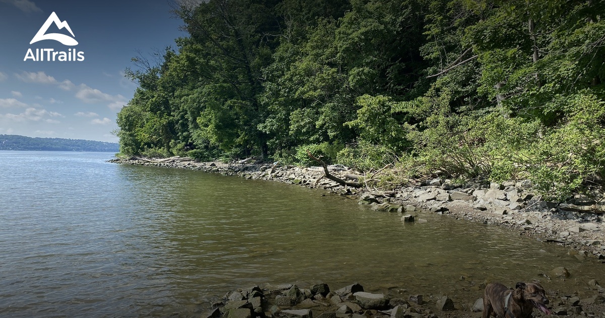 Best hikes and trails in Alpine | AllTrails