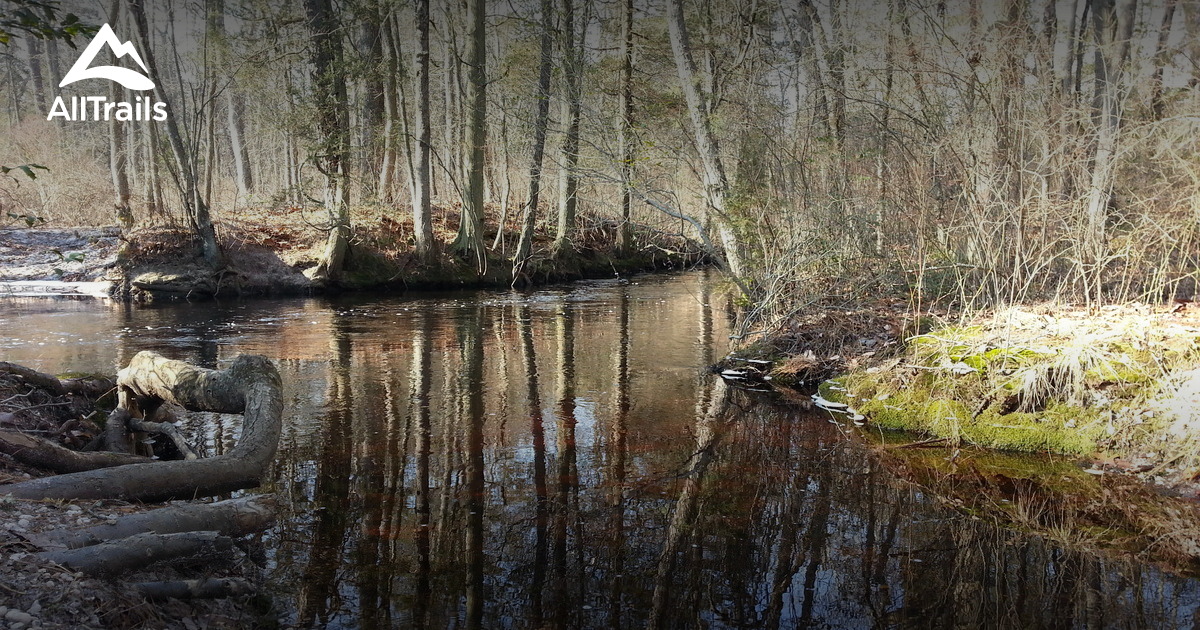 Best easy trails in Atco | AllTrails