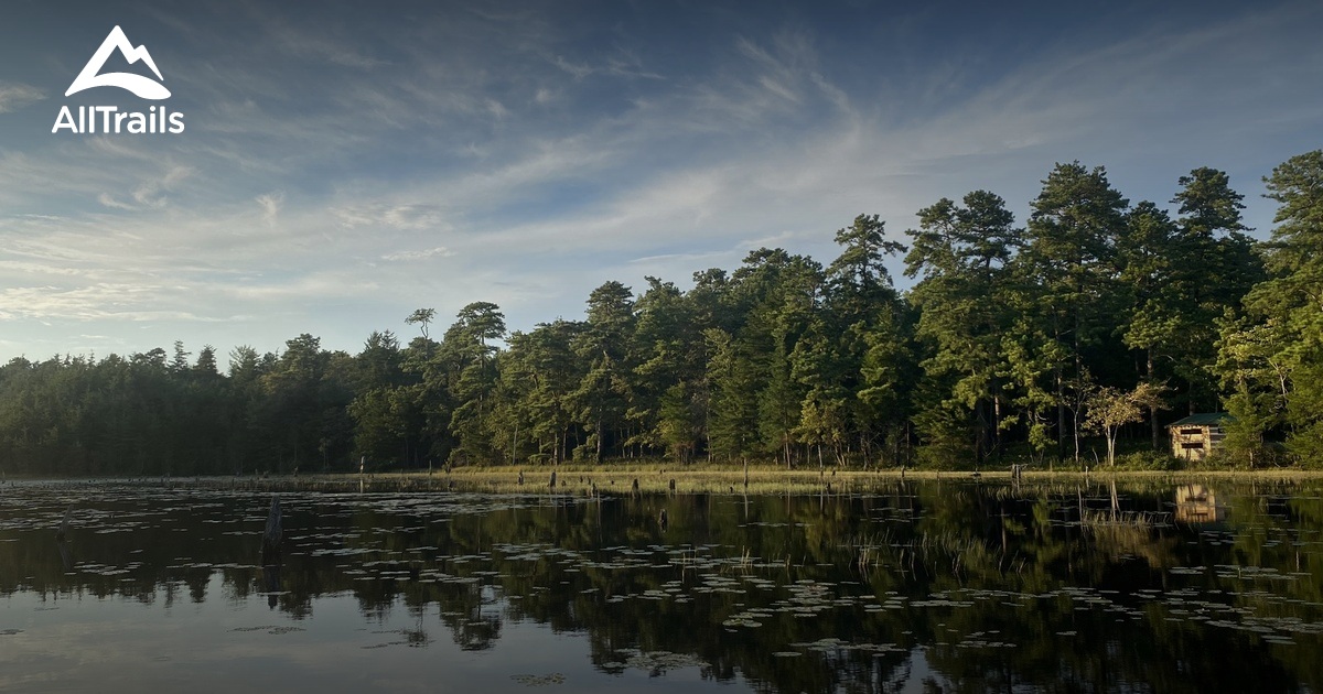 Best hikes and trails in Barnegat Township | AllTrails