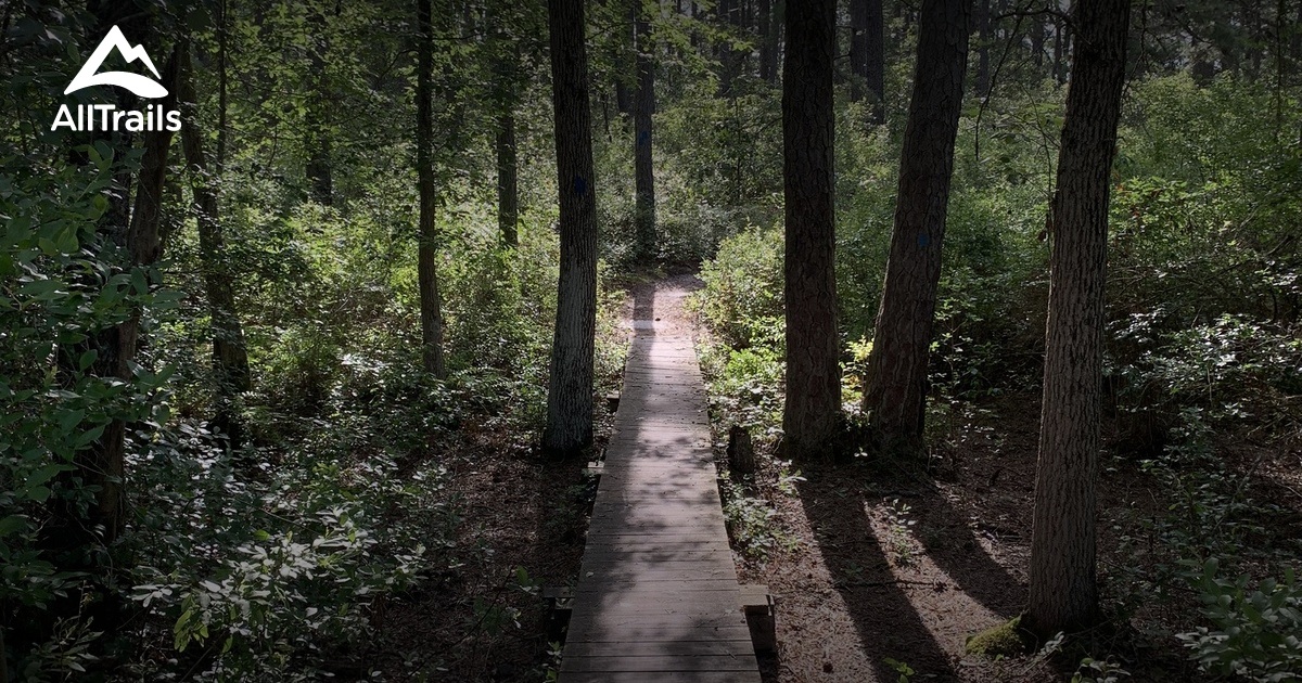 Best hikes and trails in Beachwood | AllTrails