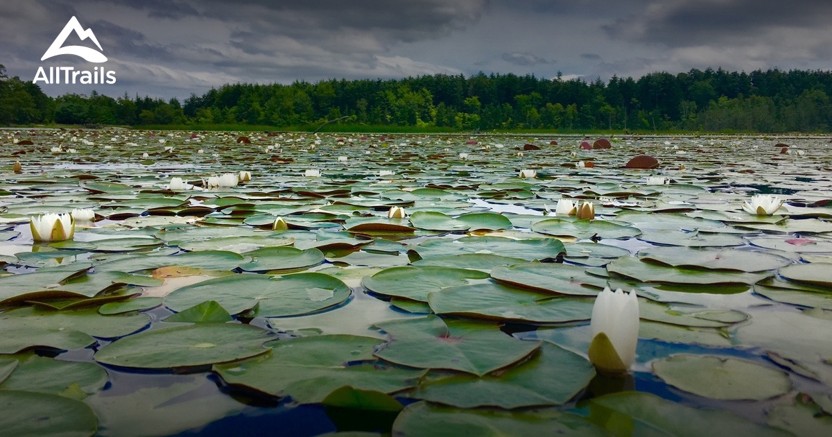 Best hikes and trails in Berkeley Township | AllTrails