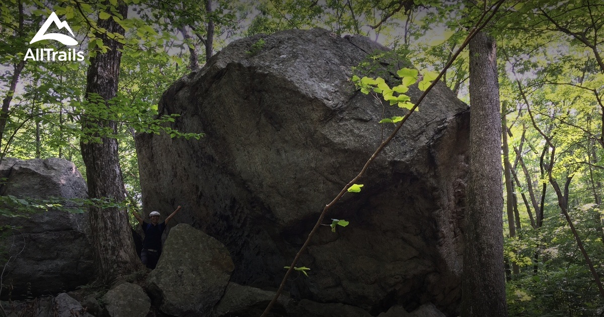 10 Best trails and hikes in Boonton | AllTrails