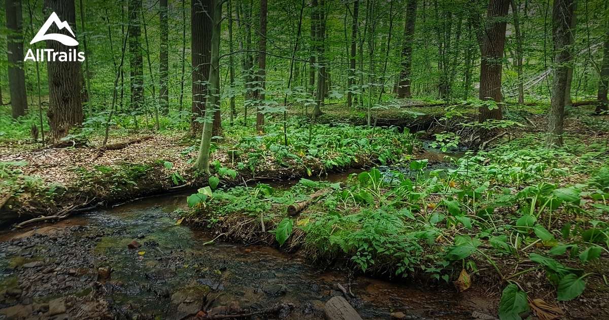 Best hikes and trails in Brookside | AllTrails