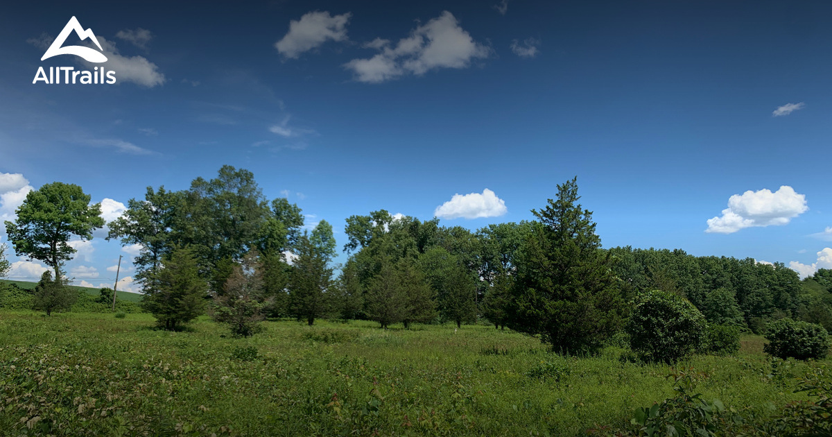 10 Best trails and hikes in Chester | AllTrails