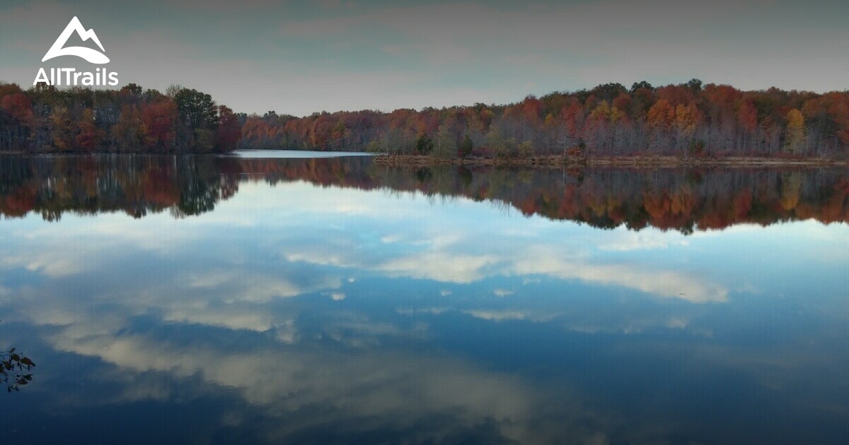 Best forest trails in Cranbury | AllTrails