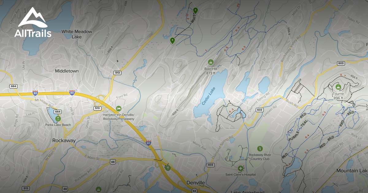 Best hikes and trails in Denville | AllTrails