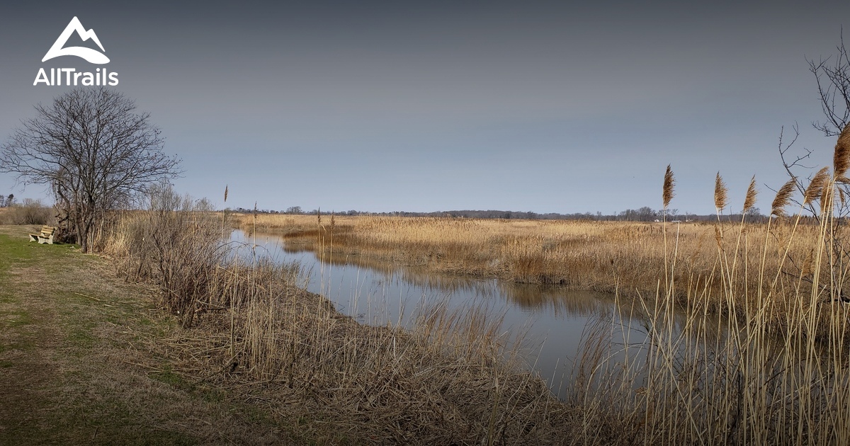 Best hikes and trails in Elsinboro | AllTrails