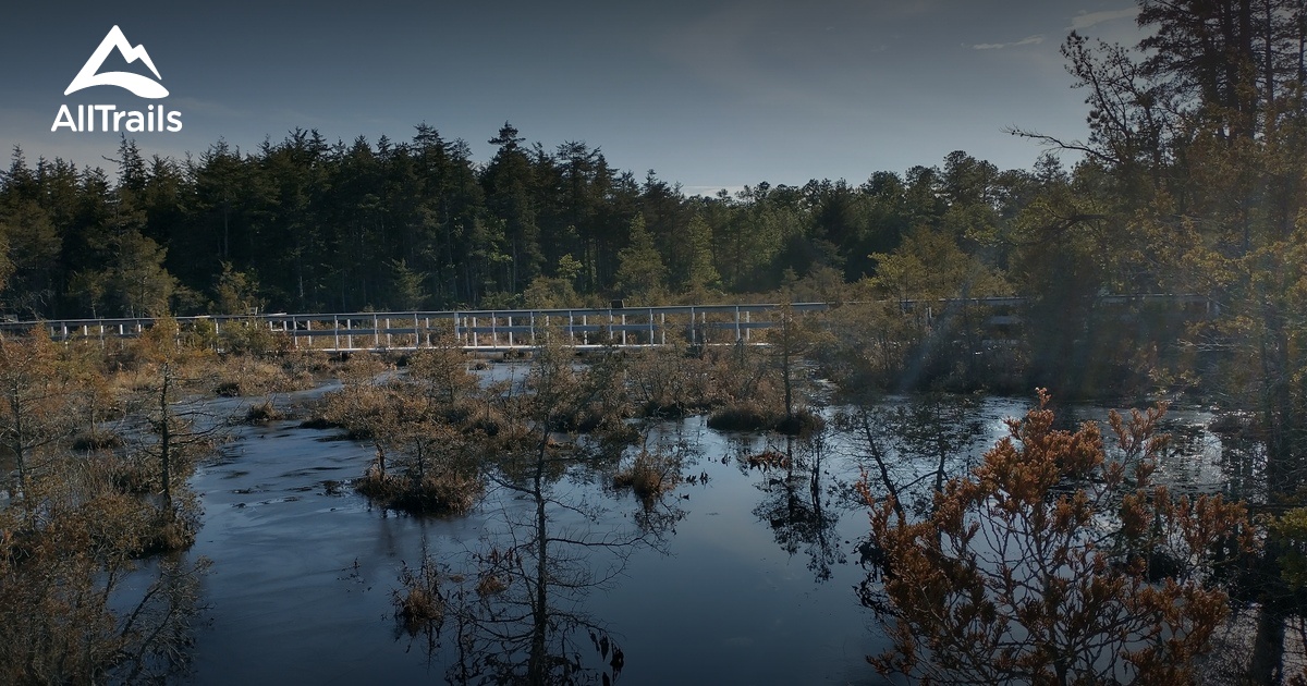 Best hikes and trails in Lacey | AllTrails