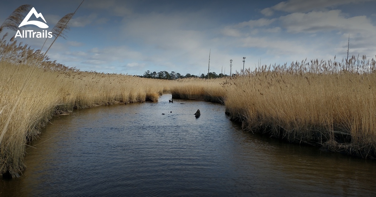 Best hikes and trails in Leesburg | AllTrails