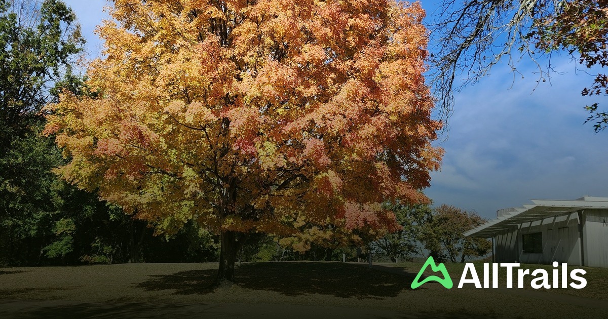 Best cross-country skiing trails in Manalapan | AllTrails