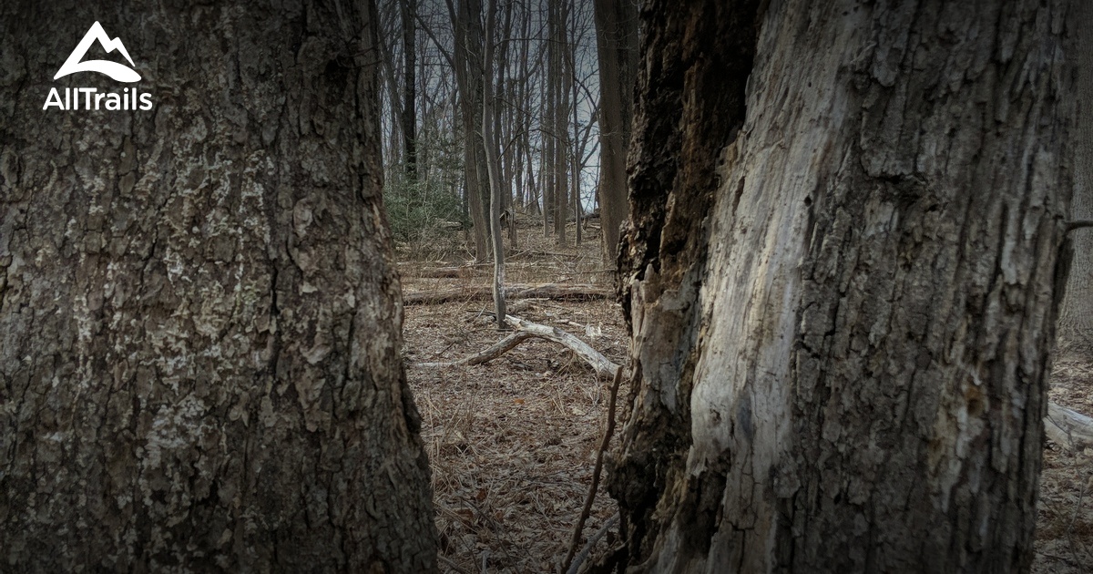 Best hikes and trails in Millstone Township | AllTrails