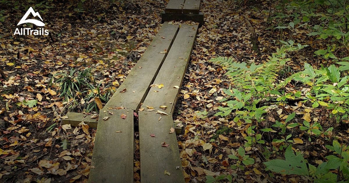 Best hikes and trails in Monroe | AllTrails