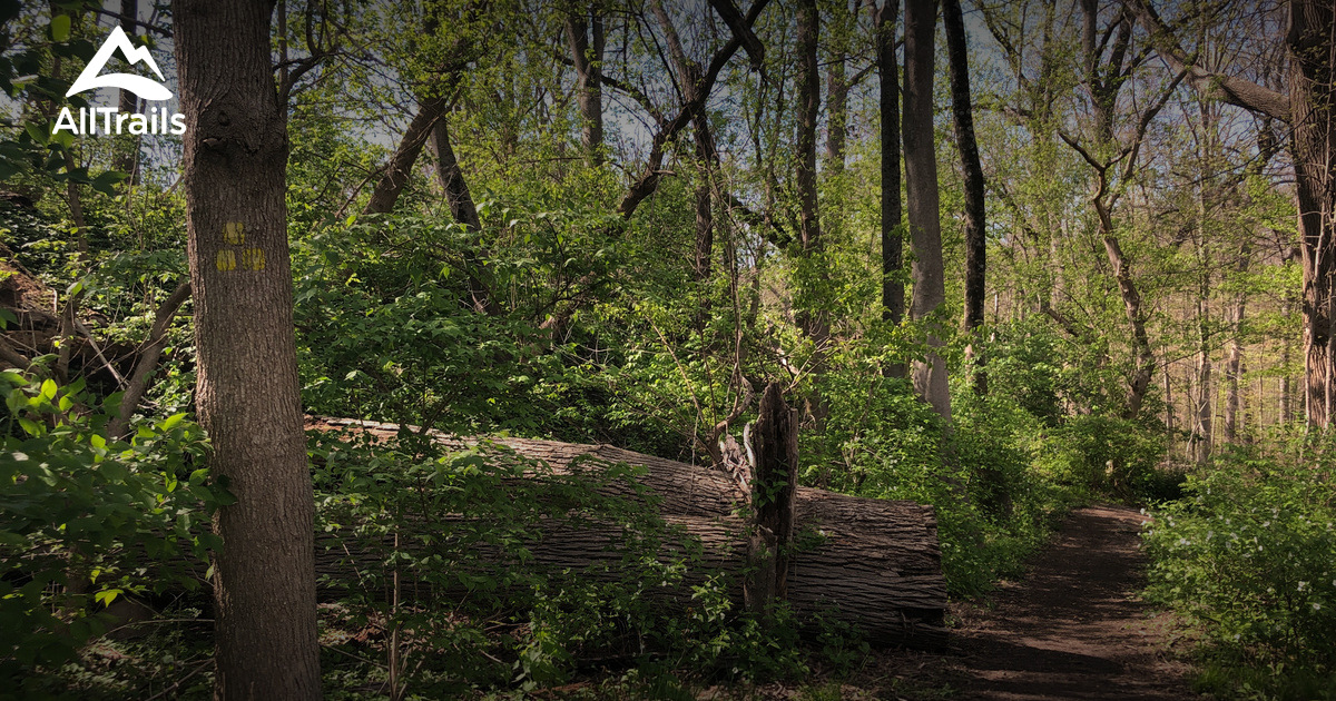 Los mejores senderos con flores silvestres en New Providence | AllTrails