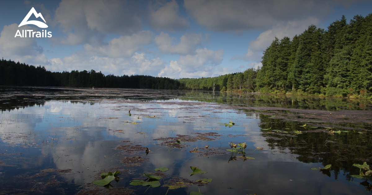 Best hikes and trails in Ocean Twp | AllTrails