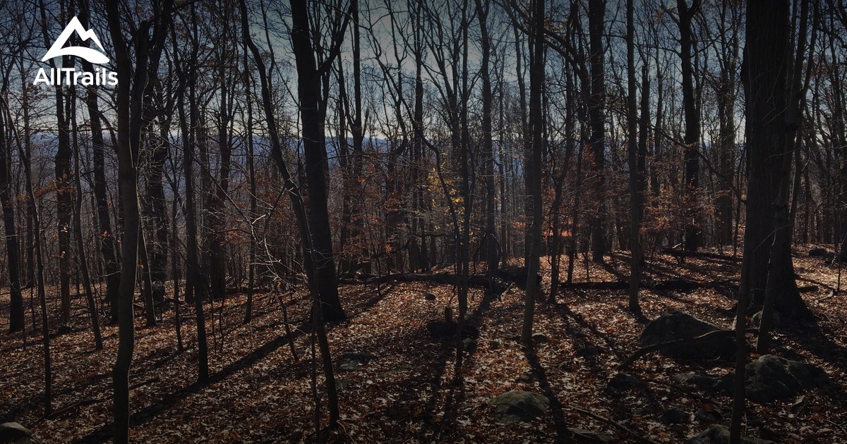 I migliori sentieri nei boschi in Parsippany-Troy Hills | AllTrails