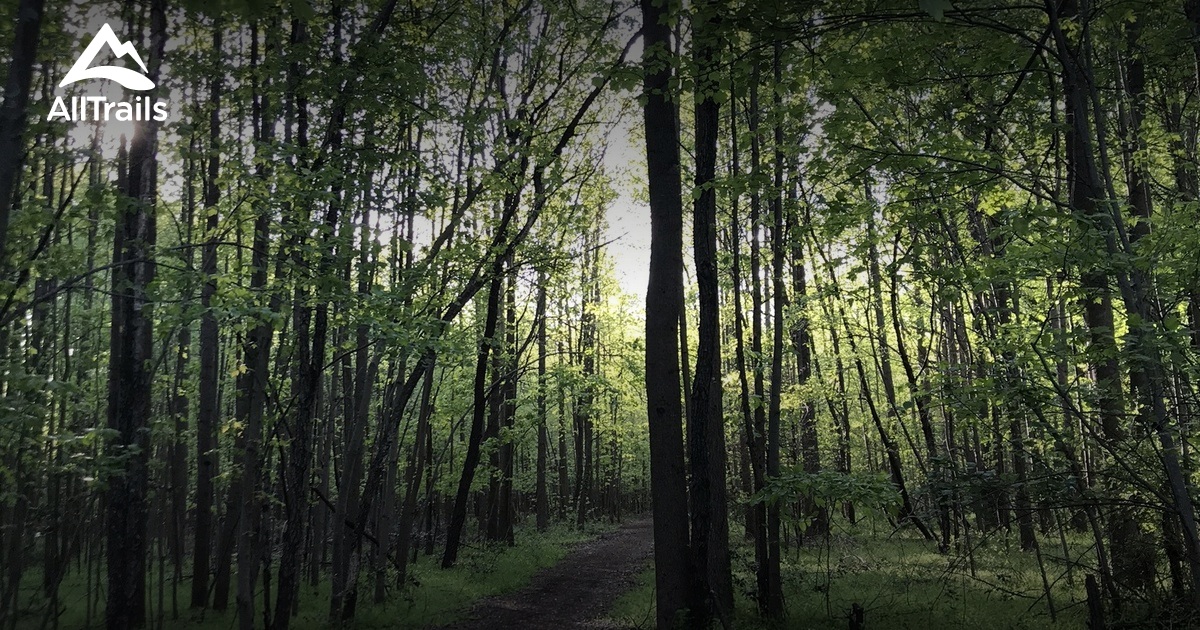 Melhores trilhos que aceitam crianças em Pitman | AllTrails