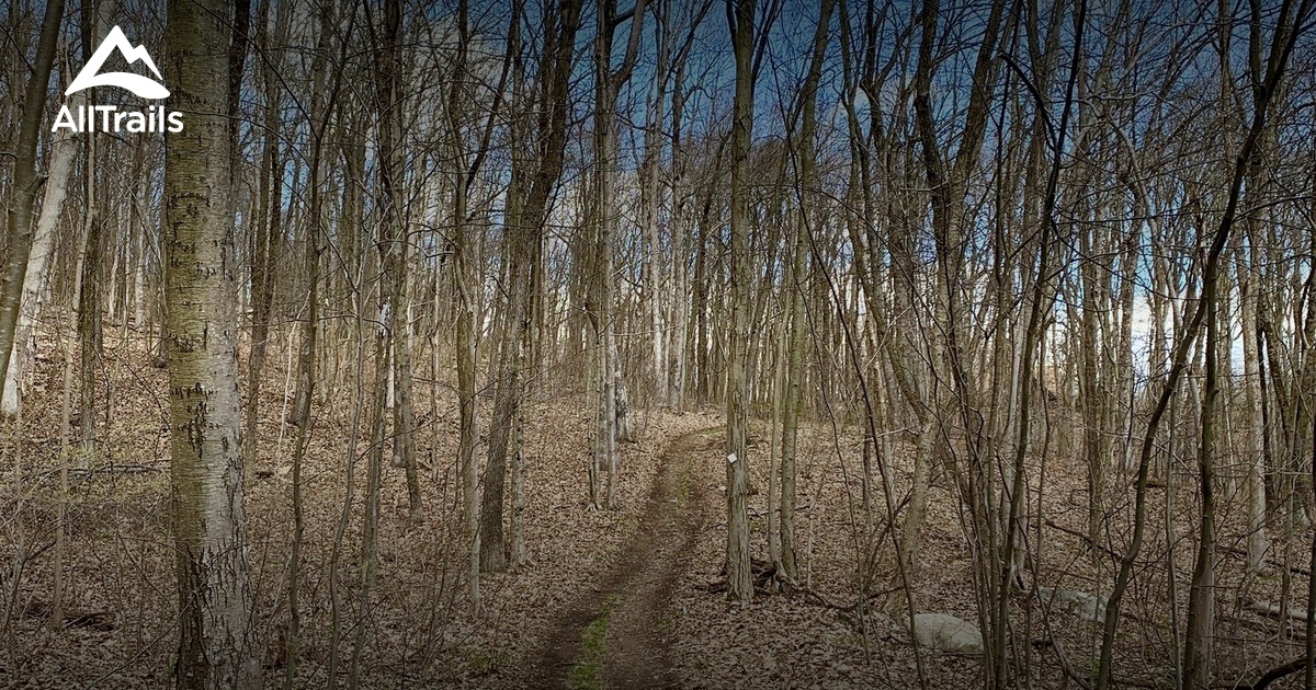 Best hikes and trails in Roxbury Township | AllTrails