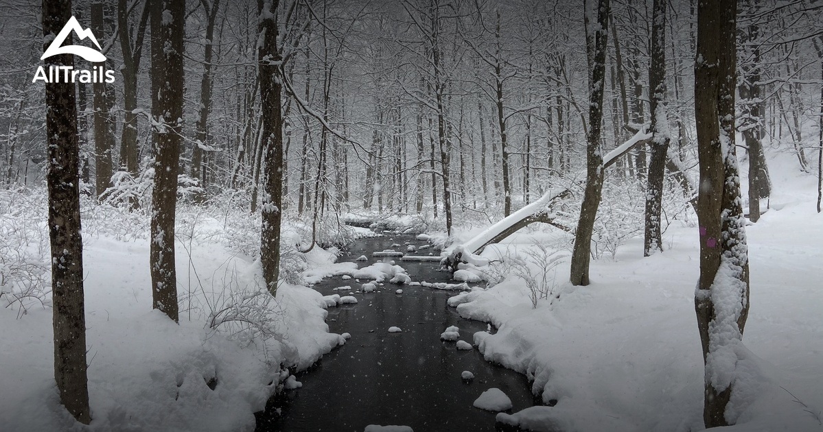 I migliori sentieri nei boschi in Scotch Plains | AllTrails
