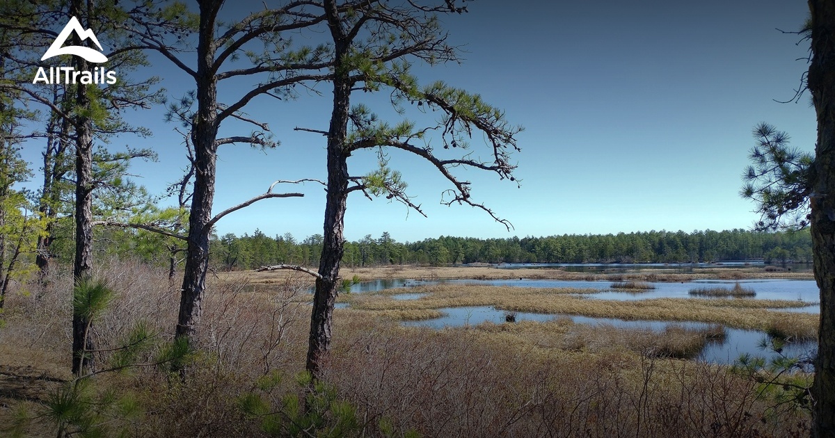 Best hikes and trails in Shamong | AllTrails