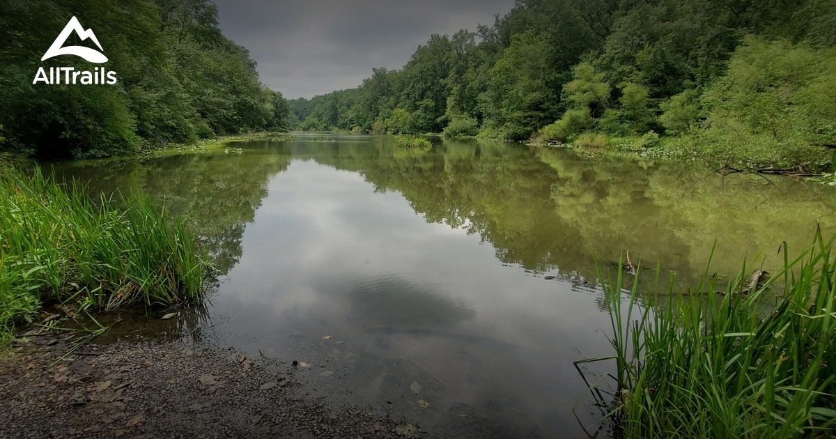Best walking trails in Summit | AllTrails