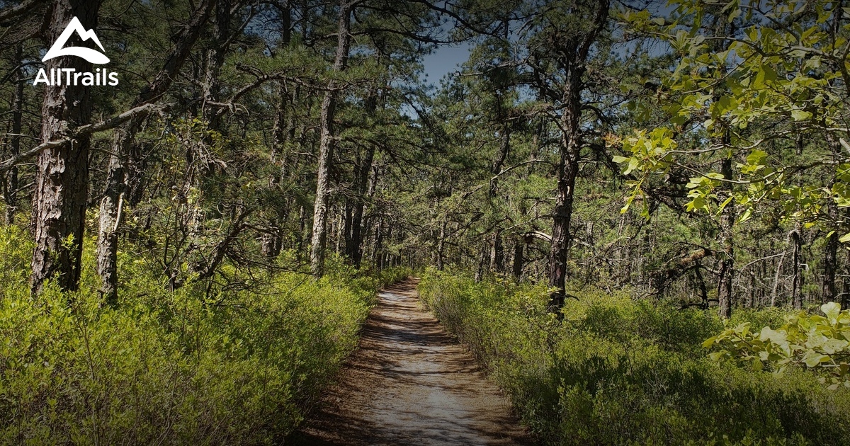 Best hikes and trails in Tabernacle | AllTrails