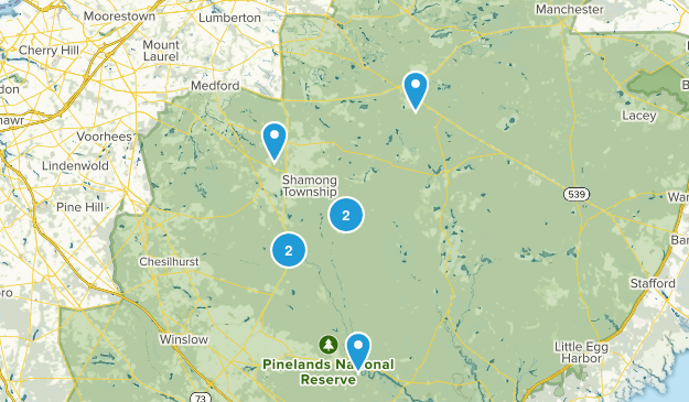 Best Trails near Vincentown, New Jersey | AllTrails