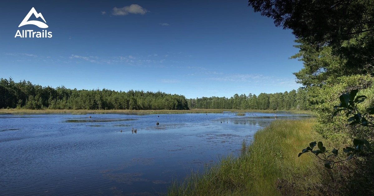 Best hikes and trails in Washington Township | AllTrails