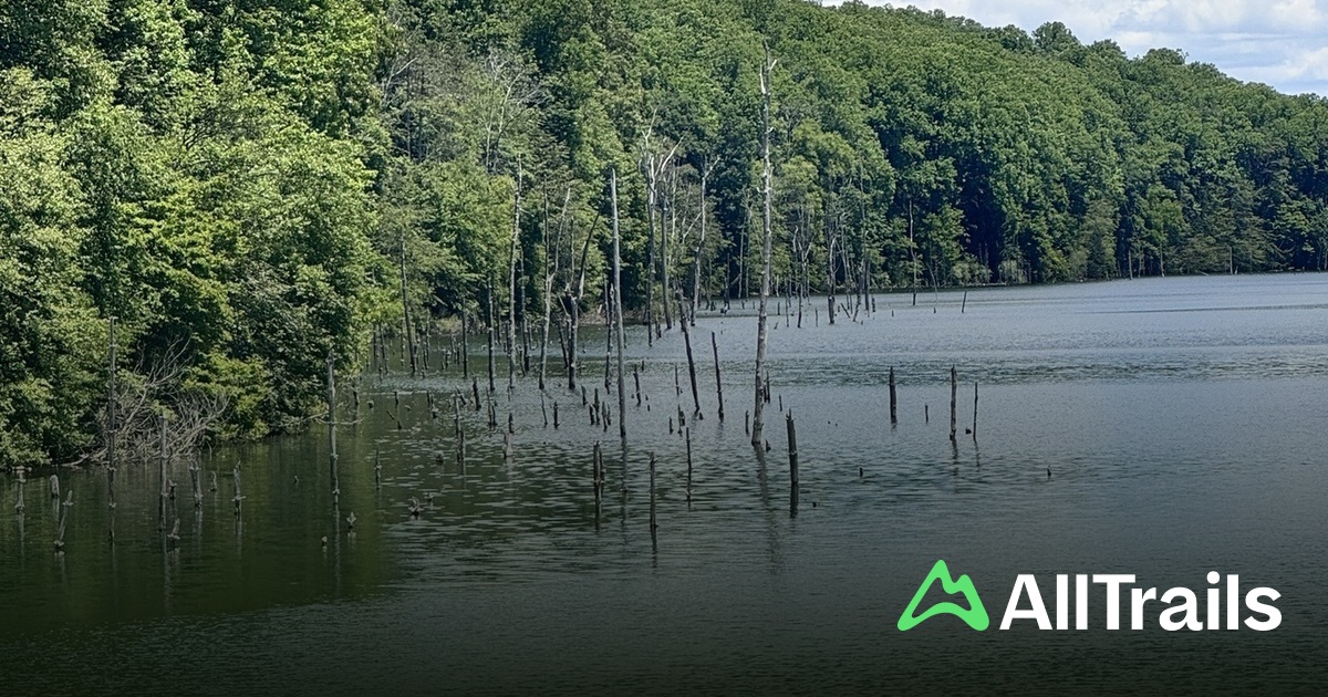 Best hikes and trails in Whippany | AllTrails