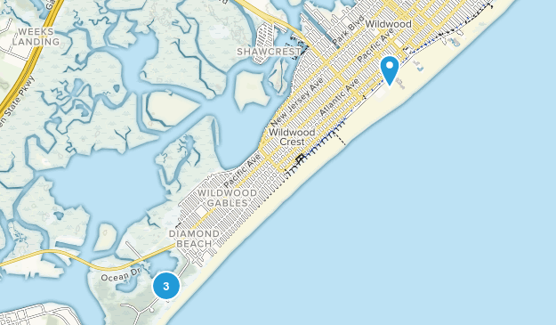 Best Trails near Wildwood, New Jersey | AllTrails