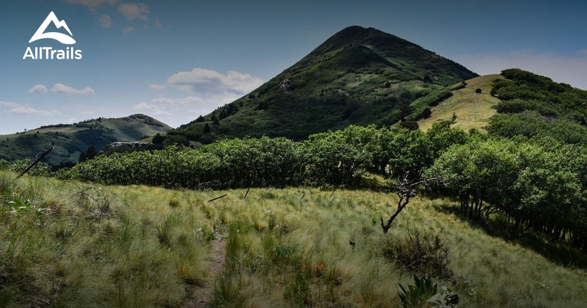 Best Trails near Alto, New Mexico | AllTrails