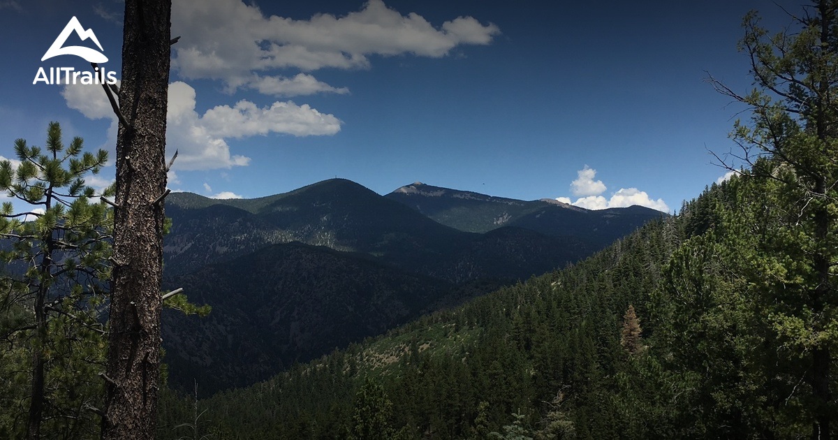 Best river trails in Cimarron | AllTrails