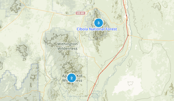 Best Trails near Magdalena, New Mexico | AllTrails