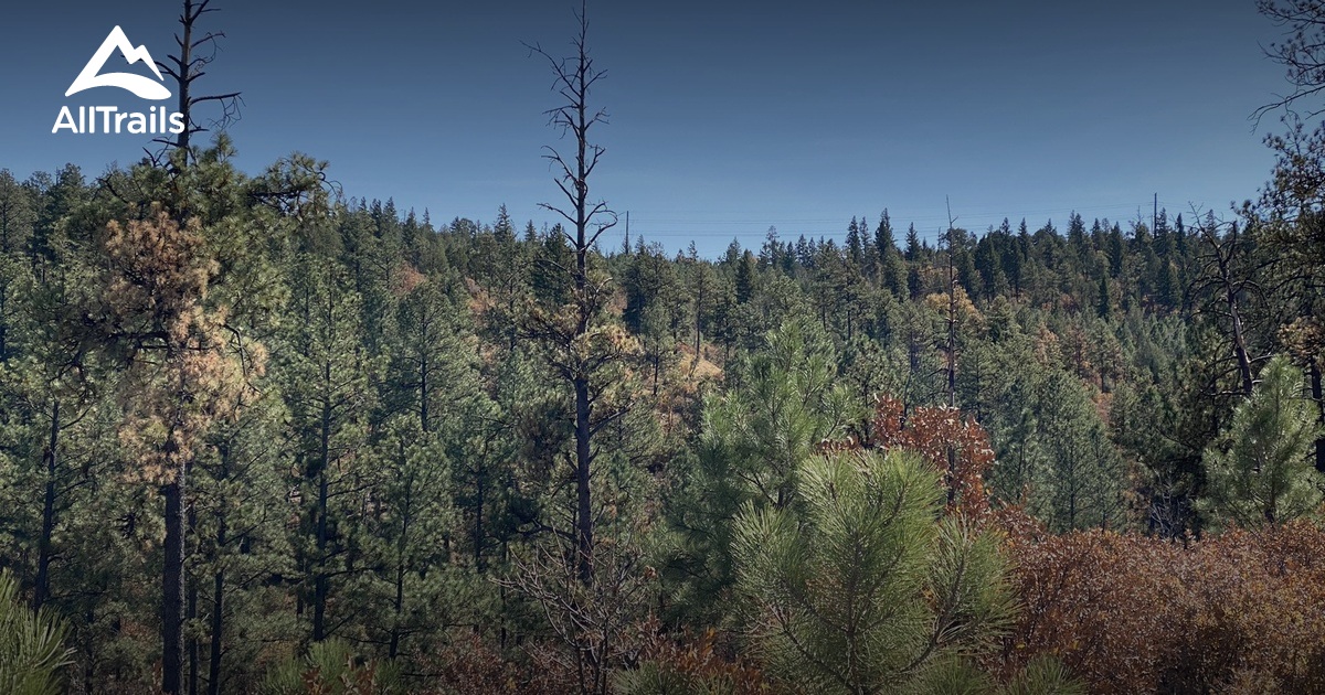 Best hikes and trails in Mescalero | AllTrails