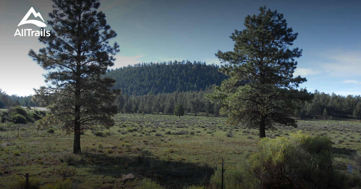 Best hikes and trails in Pinehill | AllTrails