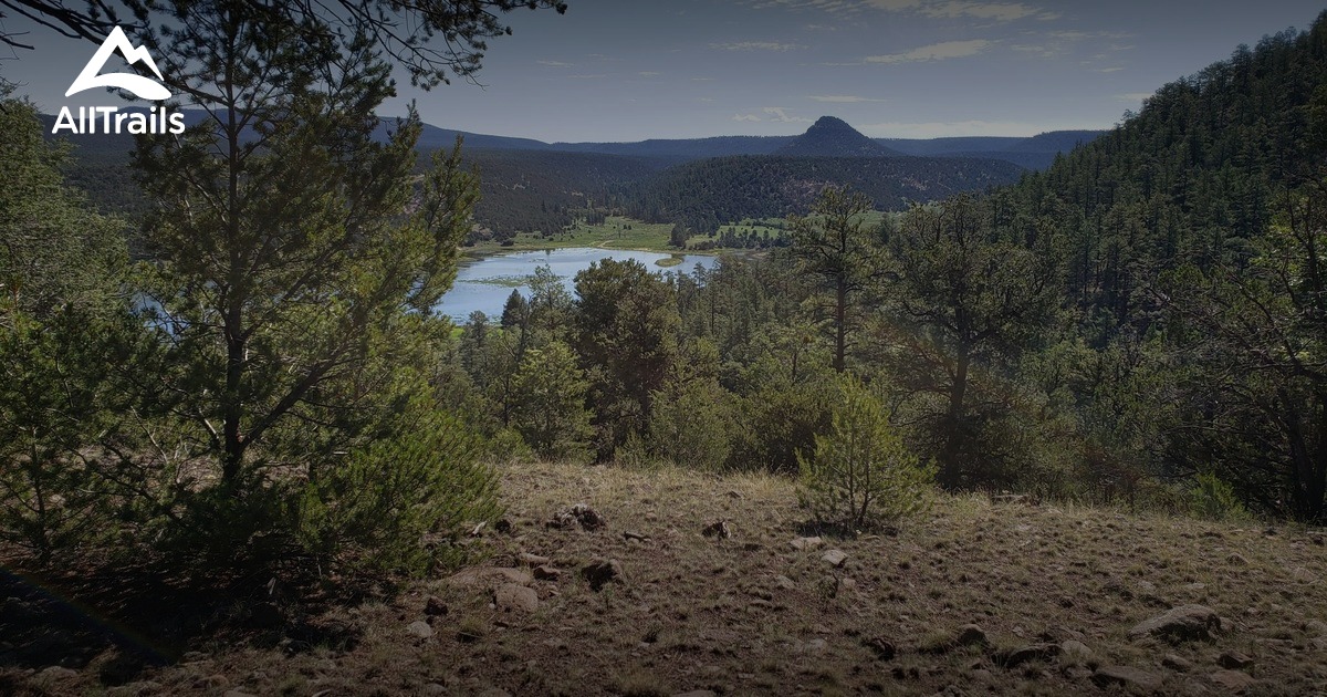Best hikes and trails in Quemado | AllTrails
