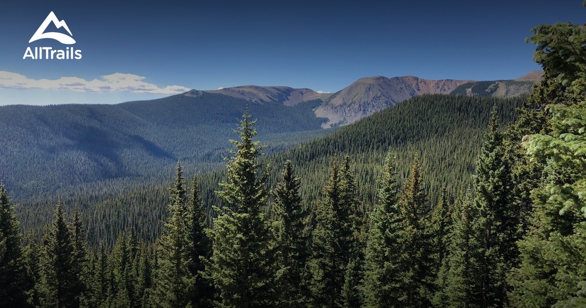 Best Trails near Red River, New Mexico | AllTrails