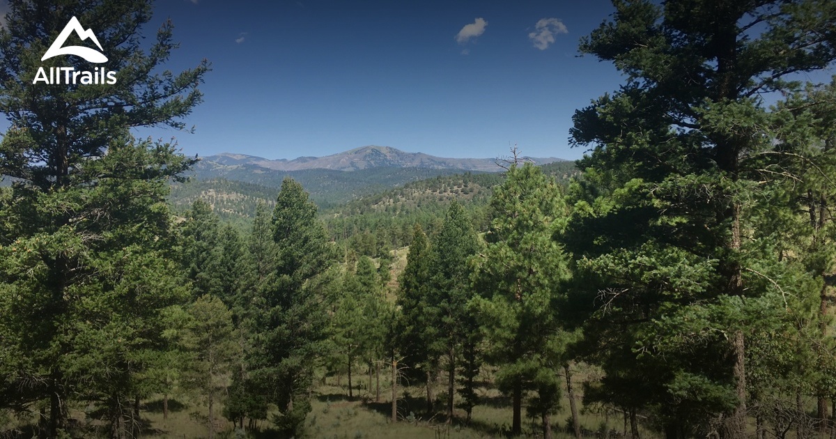 Best Trails near Ruidoso Downs, New Mexico | AllTrails