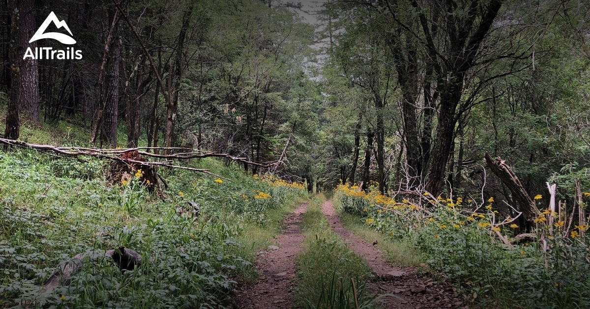 Best easy trails in Sunspot | AllTrails