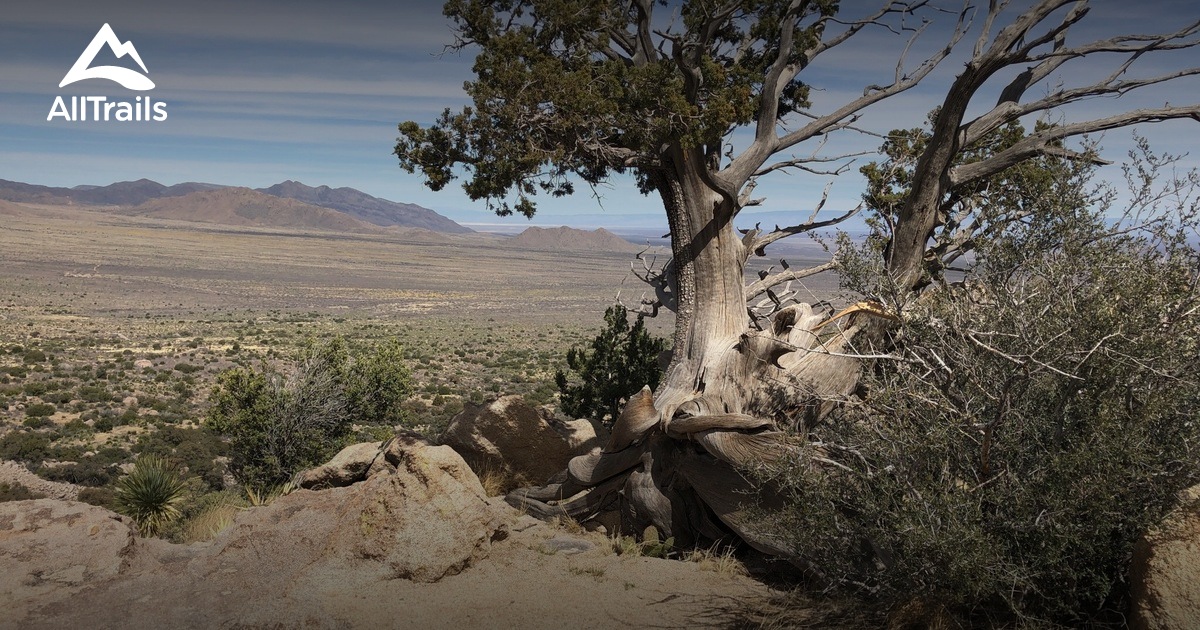 centre de lancement de White Sands : les meilleures randonnées avec vue ...