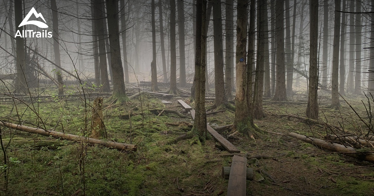 Best hikes and trails in Acra | AllTrails